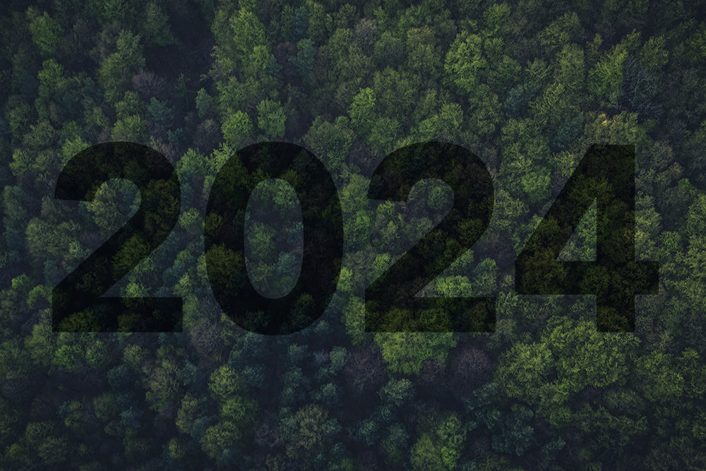 Anticipated Trends in Eco-Fashion for 2024 | BEDI – BEDI Studios