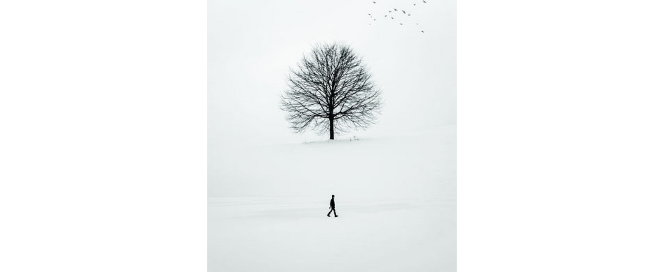 Silent Friday – BEDI Studios